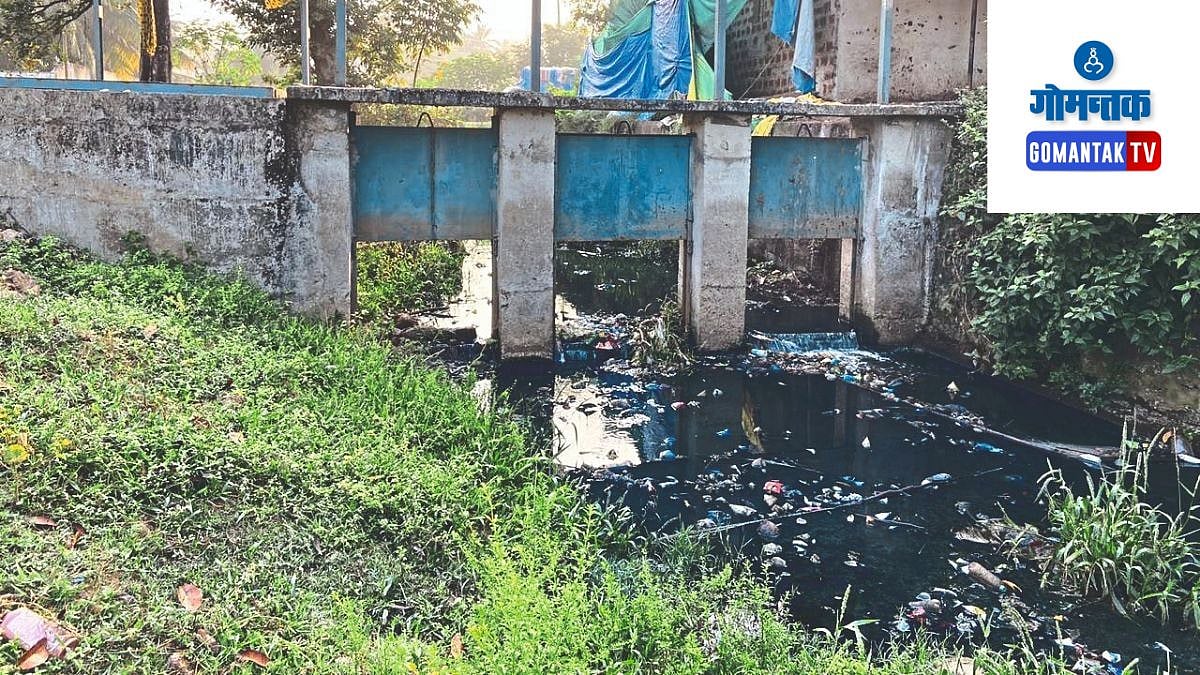 नाल्यात प्रदूषित पाणी ‘त्याच’ कंपनीचे | Goa Water Pollution | Dainik ...