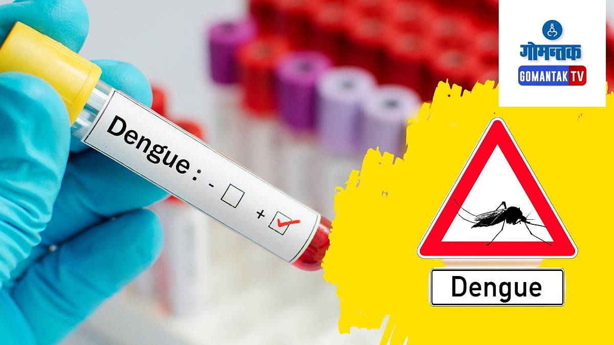 Dengue In Goa: डेंग्यूच्‍या पार्श्वभूमीवर घ्या काळजी | dengue cases ...