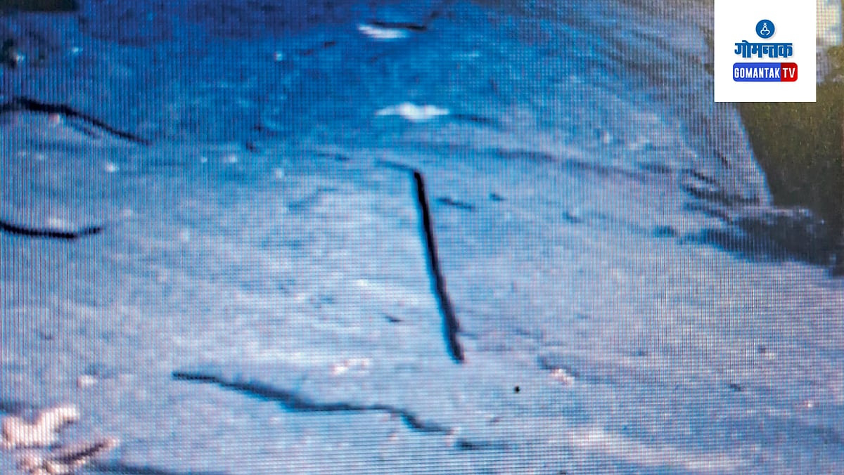 तांबडी सुर्लचा टेळको गुणो|The tail of the red sural is the virtue goa ...