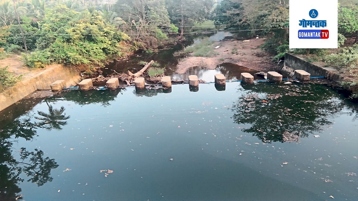 सत्तरीत बंधाऱ्यामुळे जलसंवर्धन; ‘जलसिंचन’तर्फे बांधणी |sattari Water ...