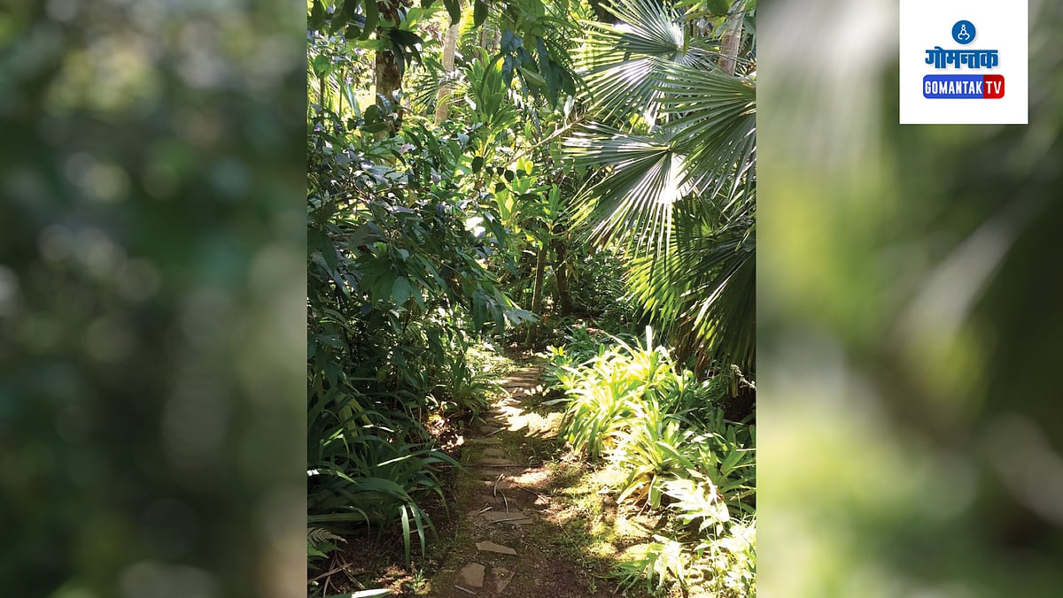 कुळागर|kulagar Eco tourism goa famous tourist places |Dainik Gomantak