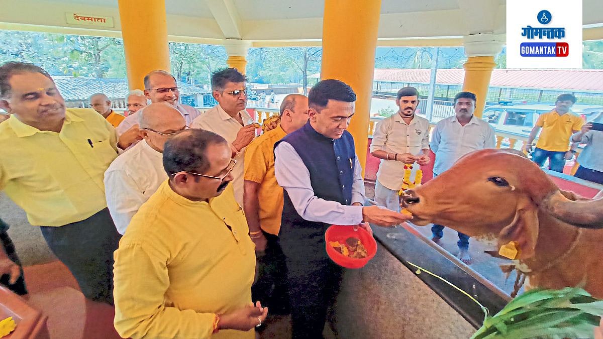 कामधेनू योजनेतील गायी गोठ्यात बांधणे बंधनकारक : मुख्यमंत्री |It is ...