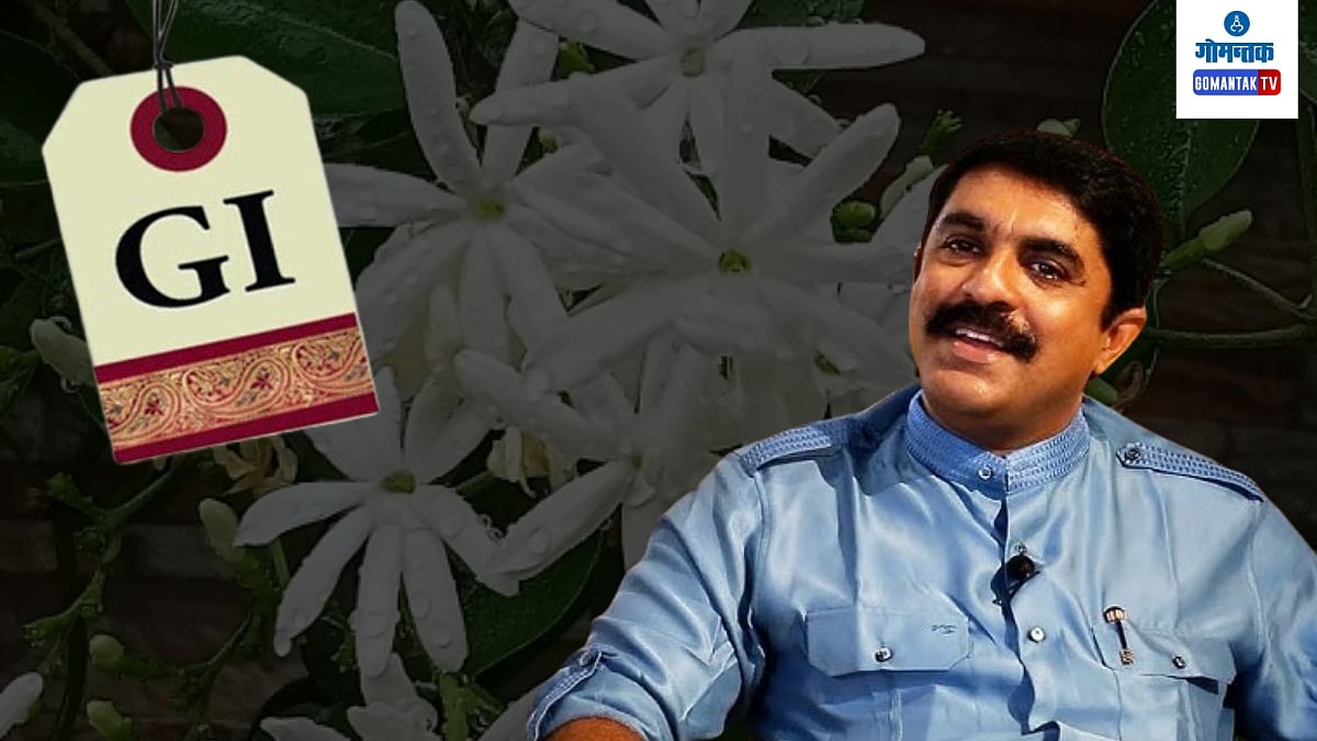 Goa GI Tag: नारळ फेणी, फिश करी राईस नंतर 'म्हार्दोळच्या जाया' ‘जीआय टॅग ...