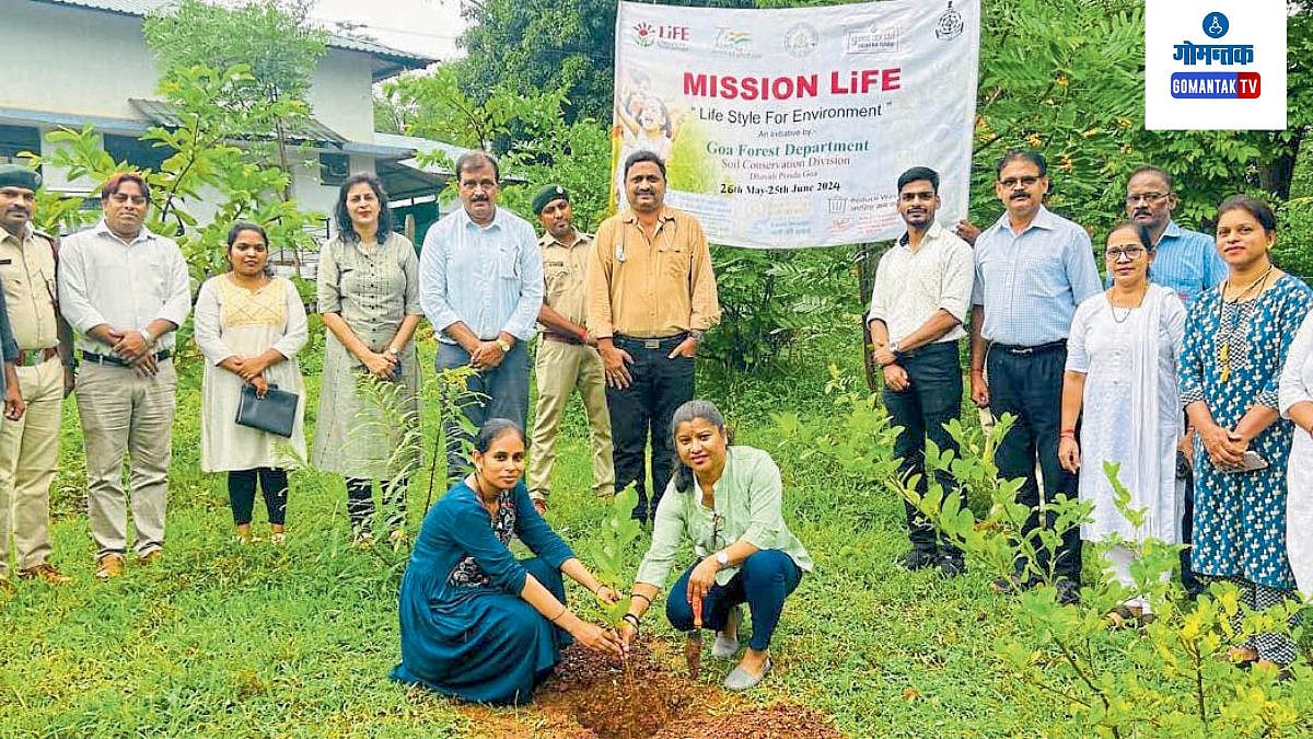 तिस्क-पिळये येथे वनमहोत्सव उत्साहात|Tree Plantation pali Forest ...
