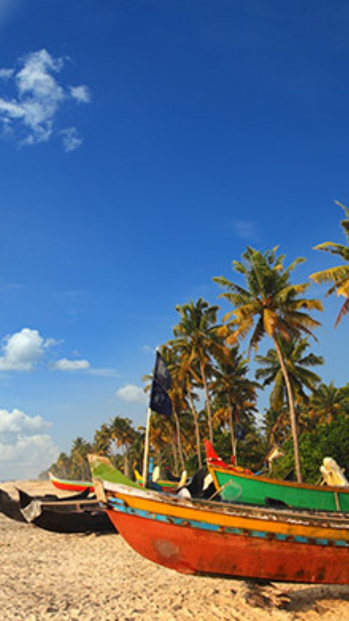 गोव्यातील निसर्गाचा आनंद घ्यायचाय तर 'या' स्थळांना द्या भेट|If you want ...