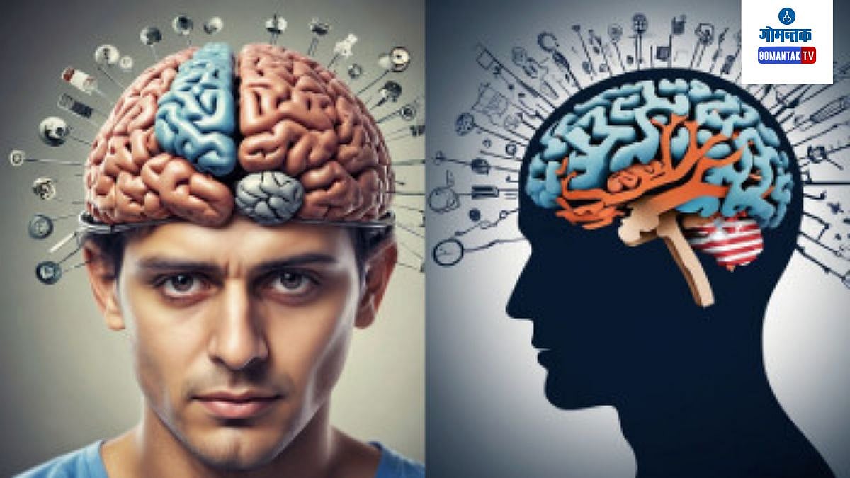 रिव्हर्स ब्रेन ड्रेन शक्य आहे का? |What Is Reverse Brain Drain brain ...