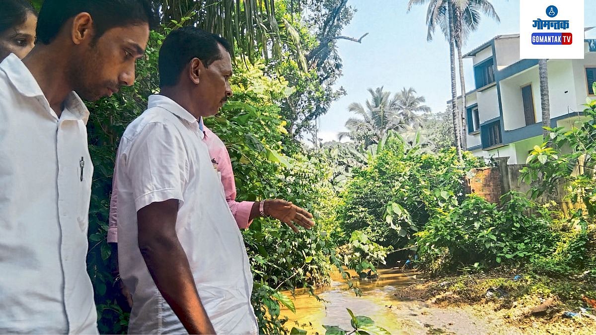 Goa Pollution Control Board: सांकवाळ-शिंदोळी नाला प्रदूषित; आंतोन वाझ ...