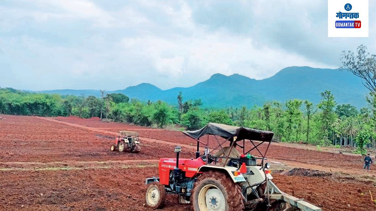 Goa Agriculture: 'स्वयंपूर्ण' गोव्याच्या स्वप्नासमोर निसर्गाचे आव्हान ...