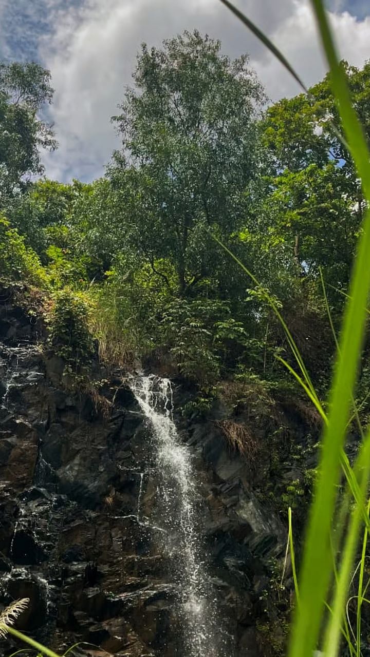 Borim Small Waterfall: चला करुया बोरीच्या धबधब्याची सैर!