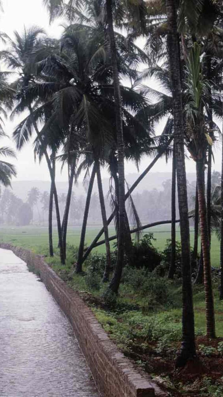 Goa Monsoons: पावसाळ्यात गोव्यातील गावांचा साज तो न्याराच! | goas soul ...