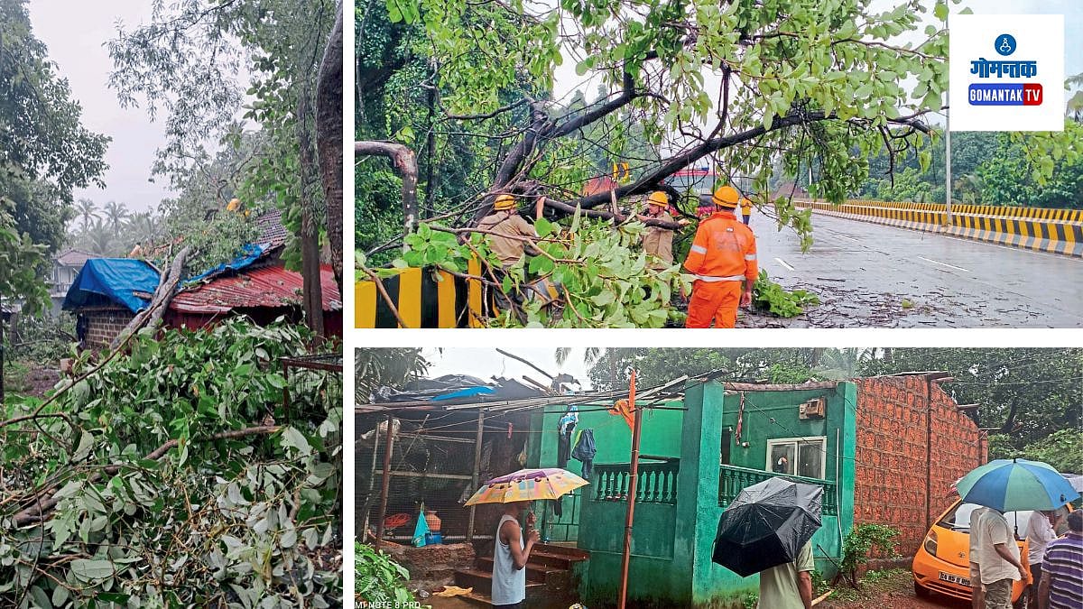 Goa Rain: धुवांधार पावसामुळे अग्निशामक दलाची होतेय दमछाक; राज्यात अनेक ...