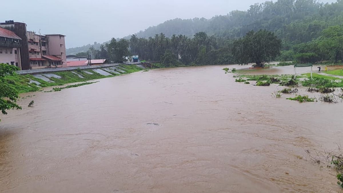 Goa Rain: नद्या तुडुंब, साखळीत पूरस्थिती; गोव्याला पावसाने झोडपले ...