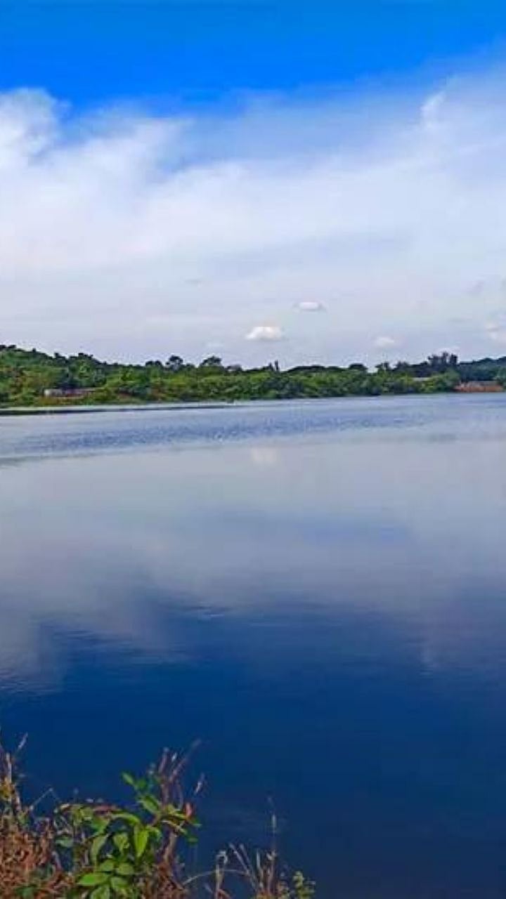 Goa, Carambolim Lake: गोवा ट्रीपमध्ये करमळी तलाव नक्की पाहा; दुर्मिळ ...