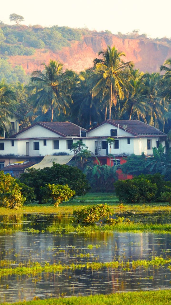 Goa Rural Life: गोव्याची दुनियाच न्यारी, ग्रामीण जीवनाची मजाच भारी ...