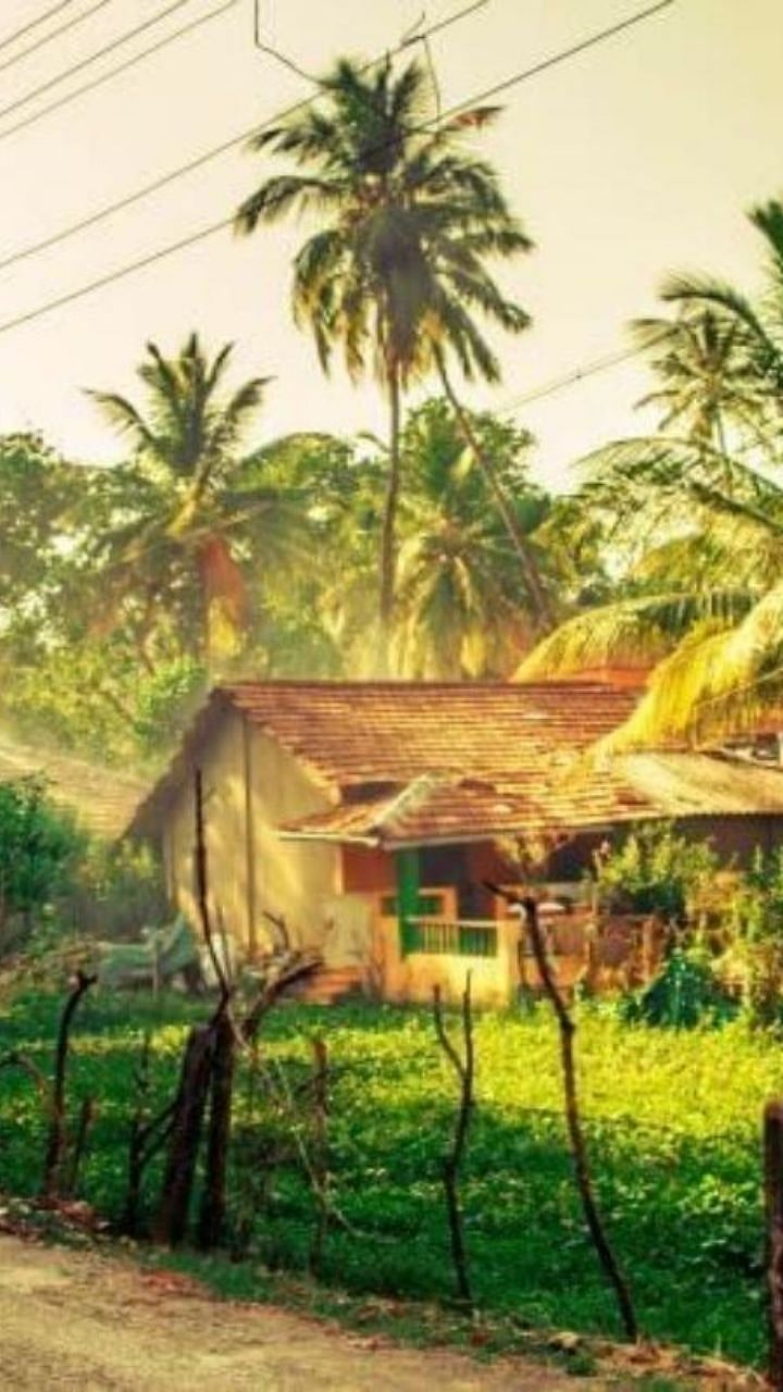 Goa Rural Life: सुखावणारं गोव्यातील ग्रामीण जीवन पर्यटकांना घालतं साद ...