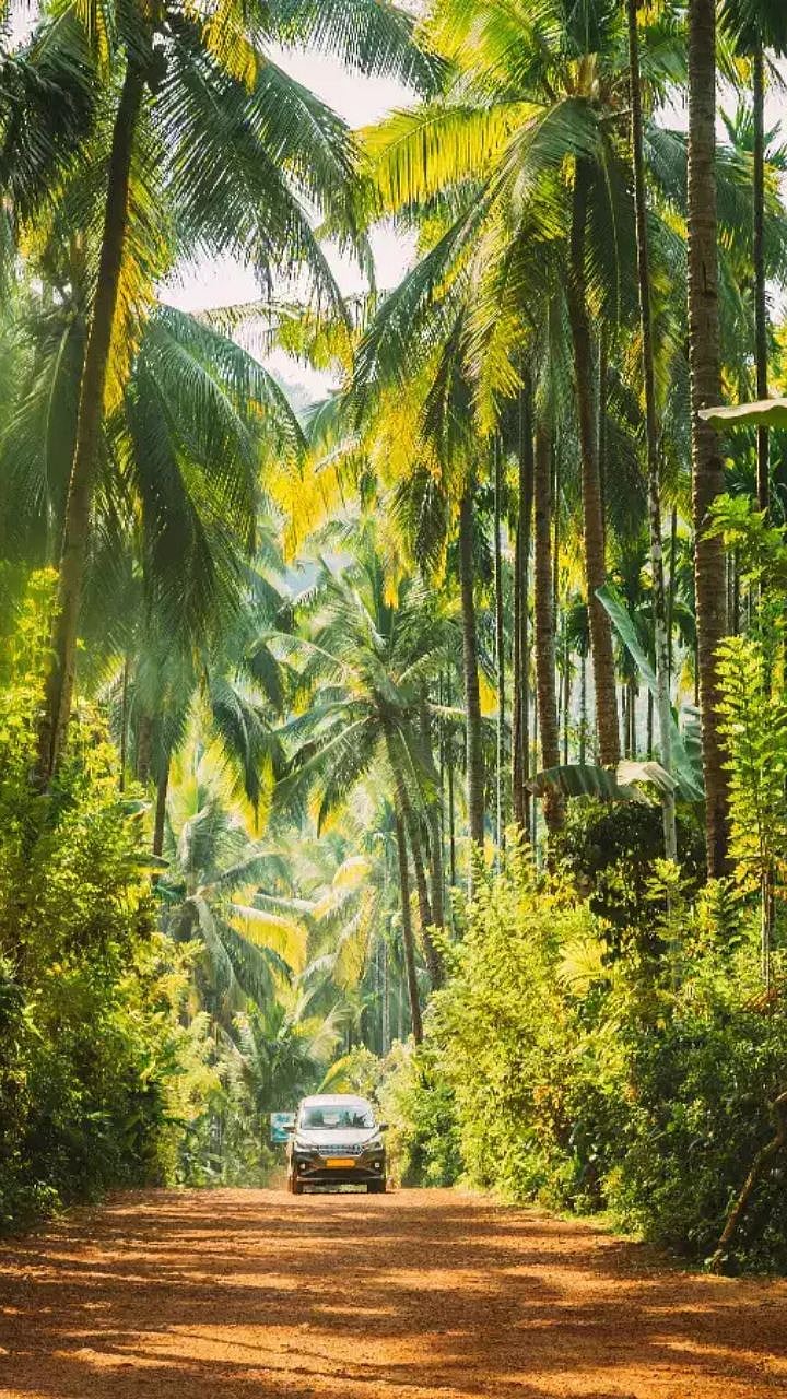 Goa Rural Life: नारळ-पोफळीच्या बागा अन् बरचं काही... करा गोव्यातील ...