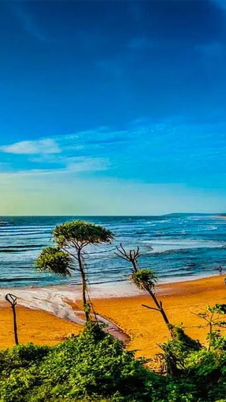 Candolim Beach: कळंगुट-बागाच्या गर्दीपासून दूर, कांदोळीमध्ये मिळवा ...