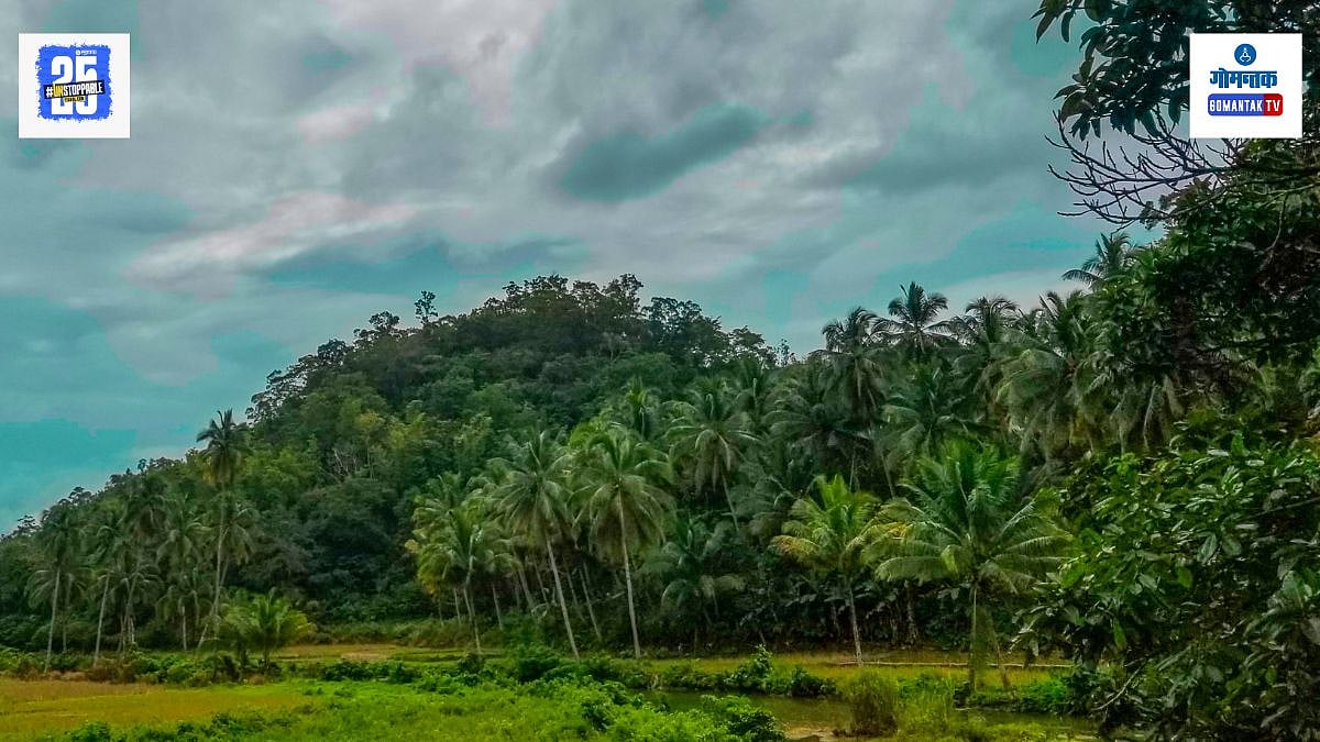 Vantem Sattari: सफर गोव्याची! त्रिपुरारी पौर्णिमेदिवशी चांदणे आणि ...