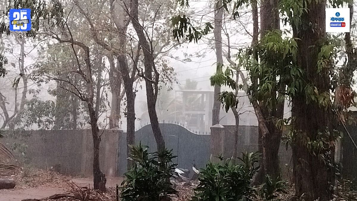 Goa Rain Update: सत्तरीत वादळी वाऱ्यासह पावसाची हजेरी; पडझडीसह ...