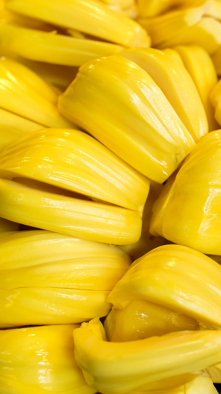 Jackfruit Health Benefits: 'फणसाचे गरे' चविष्टच नव्हे, तर आरोग्यासाठीही ...