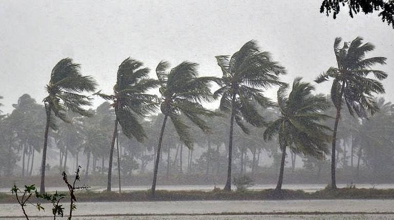 Red Alert In Goa: गोव्यात रेड अलर्ट; पुढील 24 तास मुसळधार पावसाचा इशारा ...