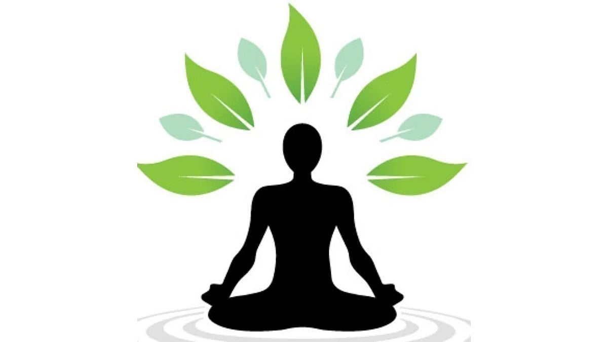 Understanding the three gunas