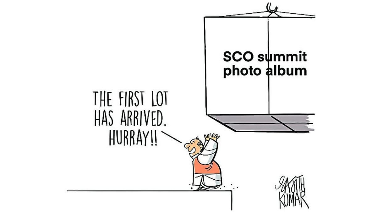 DH Toon | Photo album has arrived!