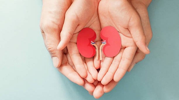 Kidney Transplants: 4,922 Await Organ in Demand Surge