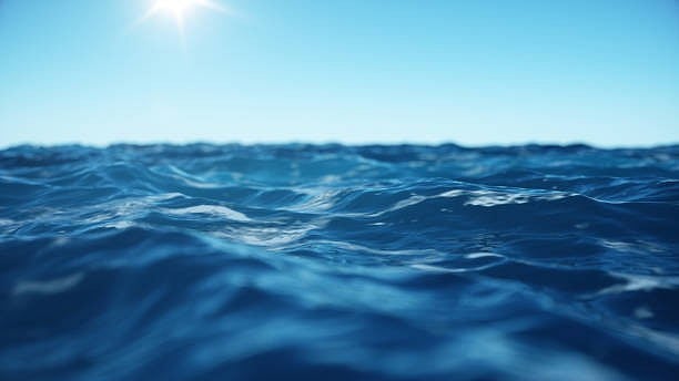 Humans Are Reshaping the Seas: What the Future Ocean Could Look Like