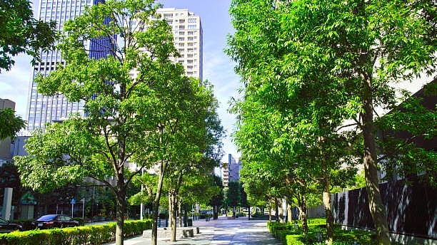 Lessons from the slow seasons