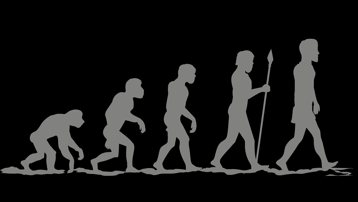 How humans became upright