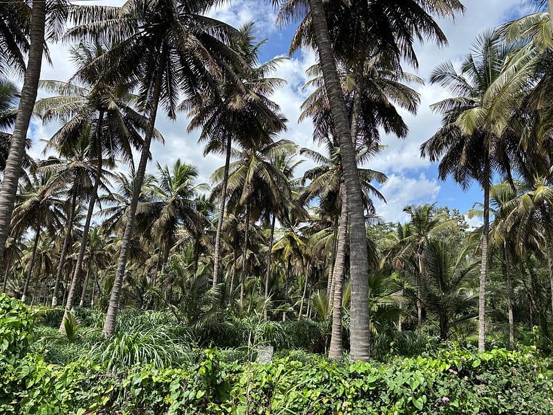 Devanahalli redux? Farmers in Karnataka's Bidadi vow to fight ‘AI City’