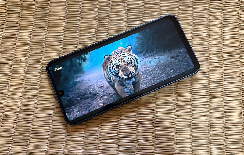 Samsung Galaxy A17 Review: Mid-range phone with incremental upgrade