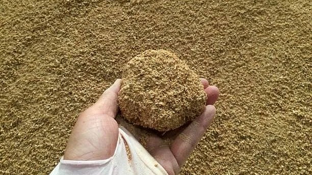 Govt lifts de-oiled rice bran export ban with immediate effect