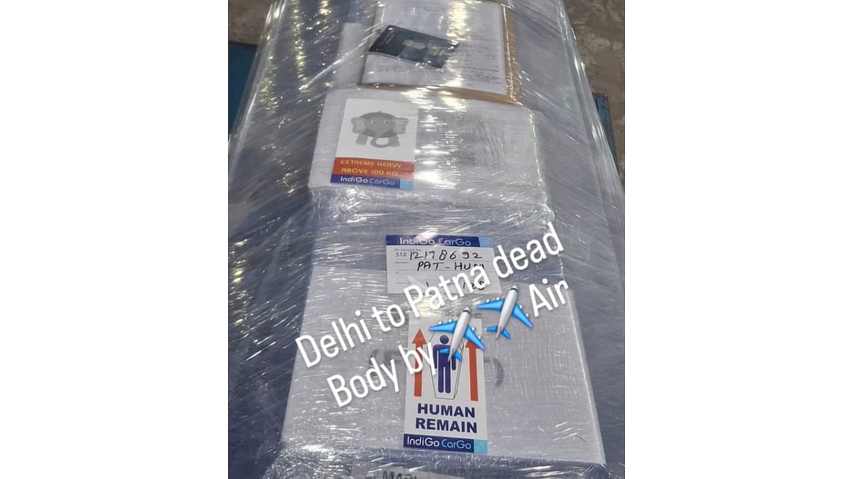 IndiGo Coffin: Viral Image Sparks Elephant Sticker Debate