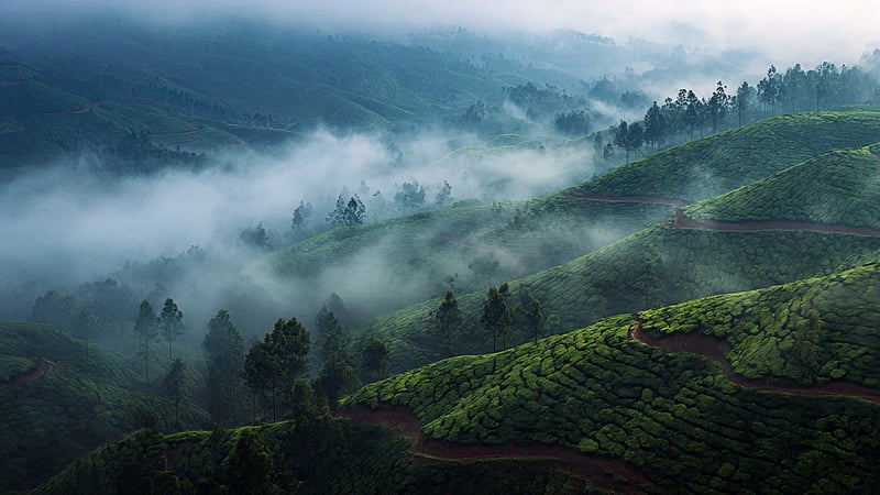 Top 10 destinations in the world where fog brings 'pure magic'