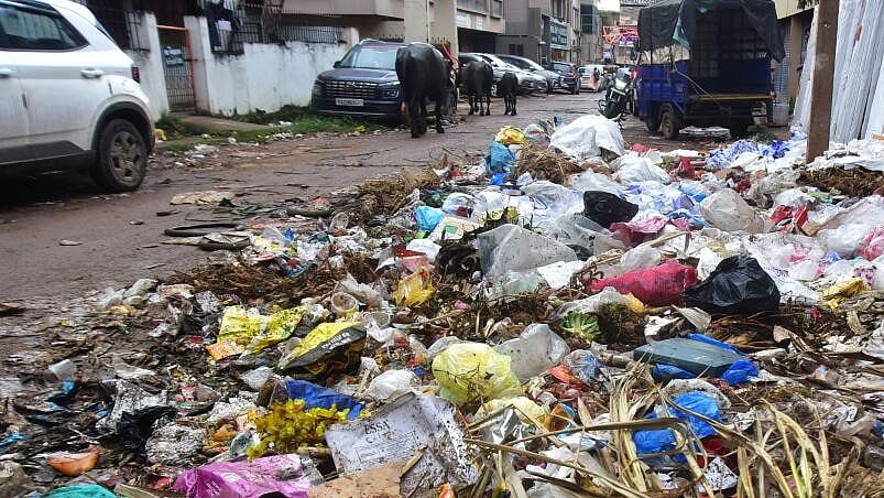 Rs 250 for sharing photos, videos of people dumping garbage? BSWML says ...