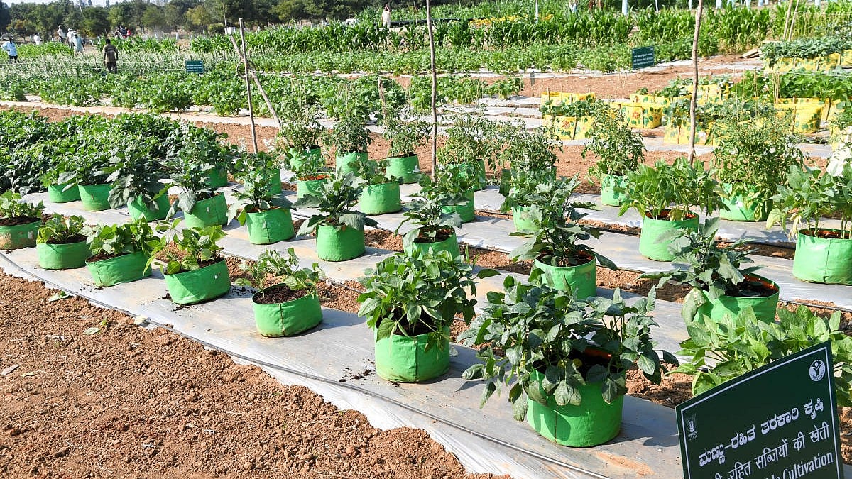 Indian Horticulture Congress: 11th Congress Begins at GKVK| Bengaluru ...