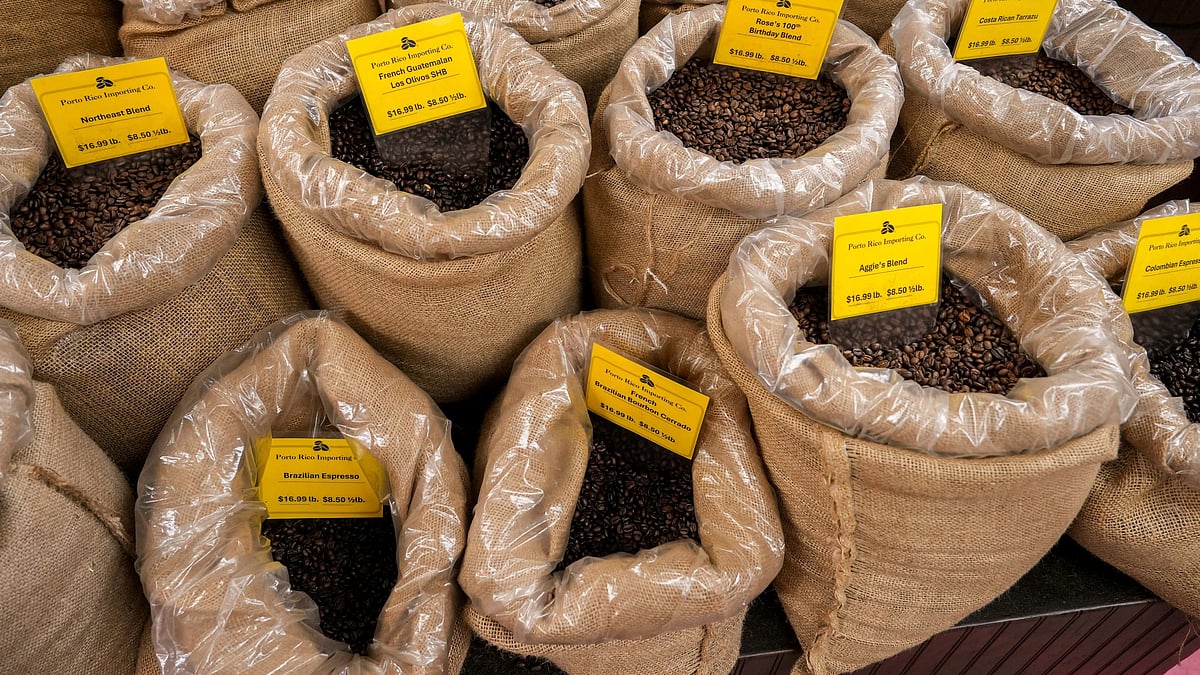 India Coffee Sector: Coffee Board Targets 7 Lakh Tonnes by 2047