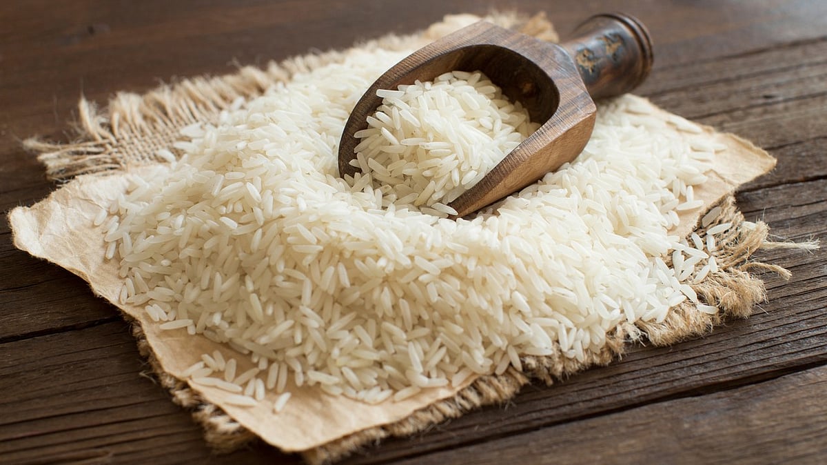 US Rice Tariff Move: Indian Exporters Say Impact Will Be Minimal