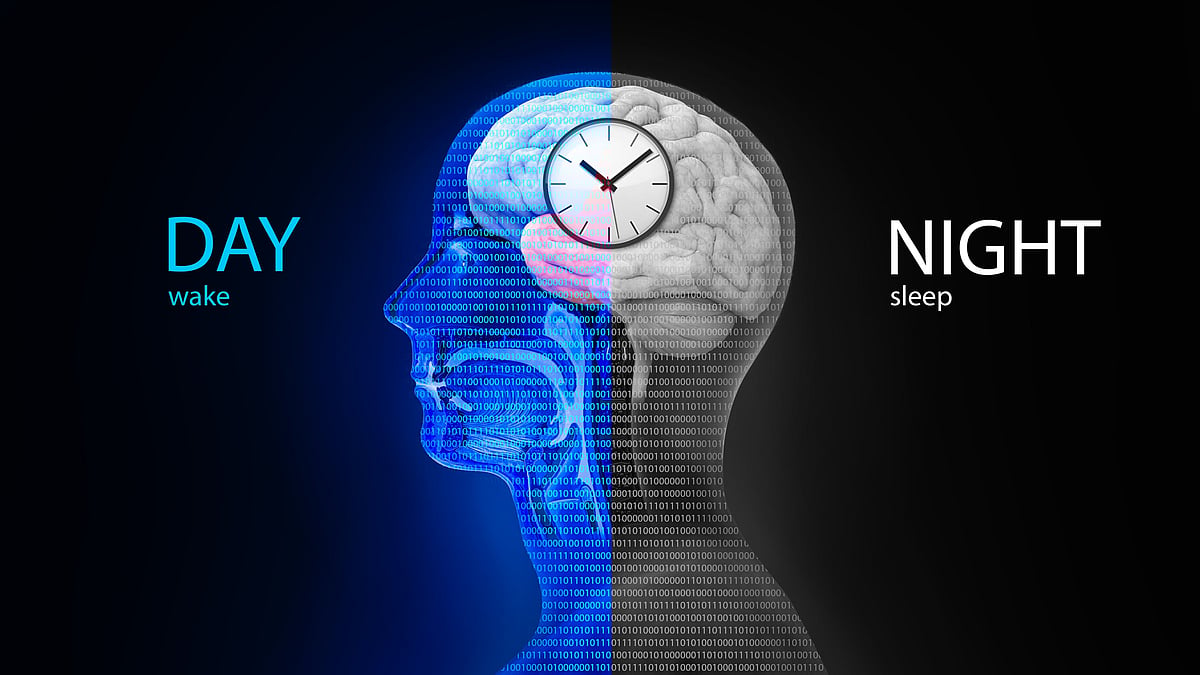 Dark Therapy: Improve Sleep & Well-being with Darkness