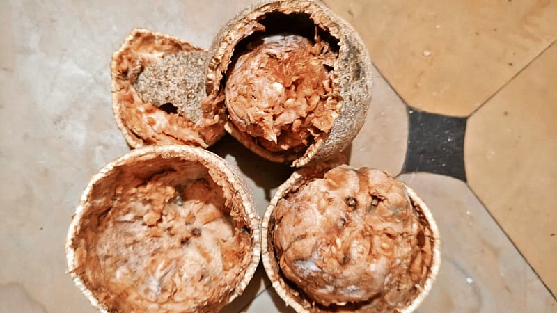 A festival of wood apples at Karnataka's Godachi
