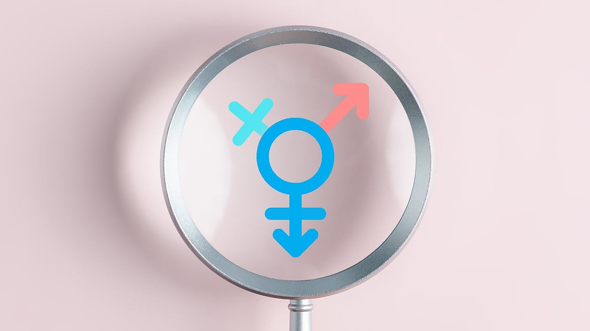 Gender Transition Journey: Understanding Key Processes