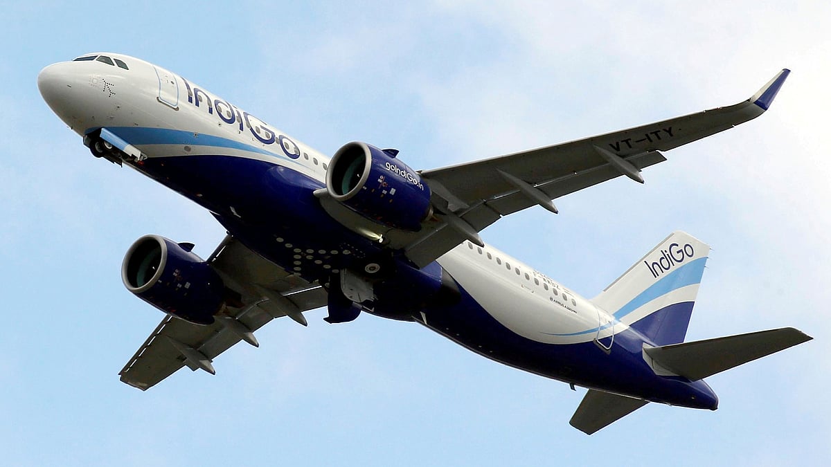 Indigo explores new horizons in pursuit of business prudence