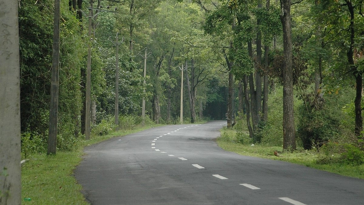 MoEF panel returns Magadi-Somwarpet road widening proposal citing lack ...