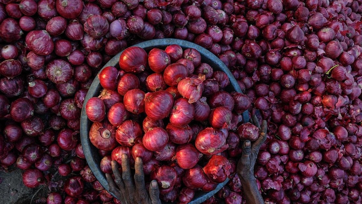 Onion prices in Delhi's retail market rise to Rs 65-80 per kg; Centre ...
