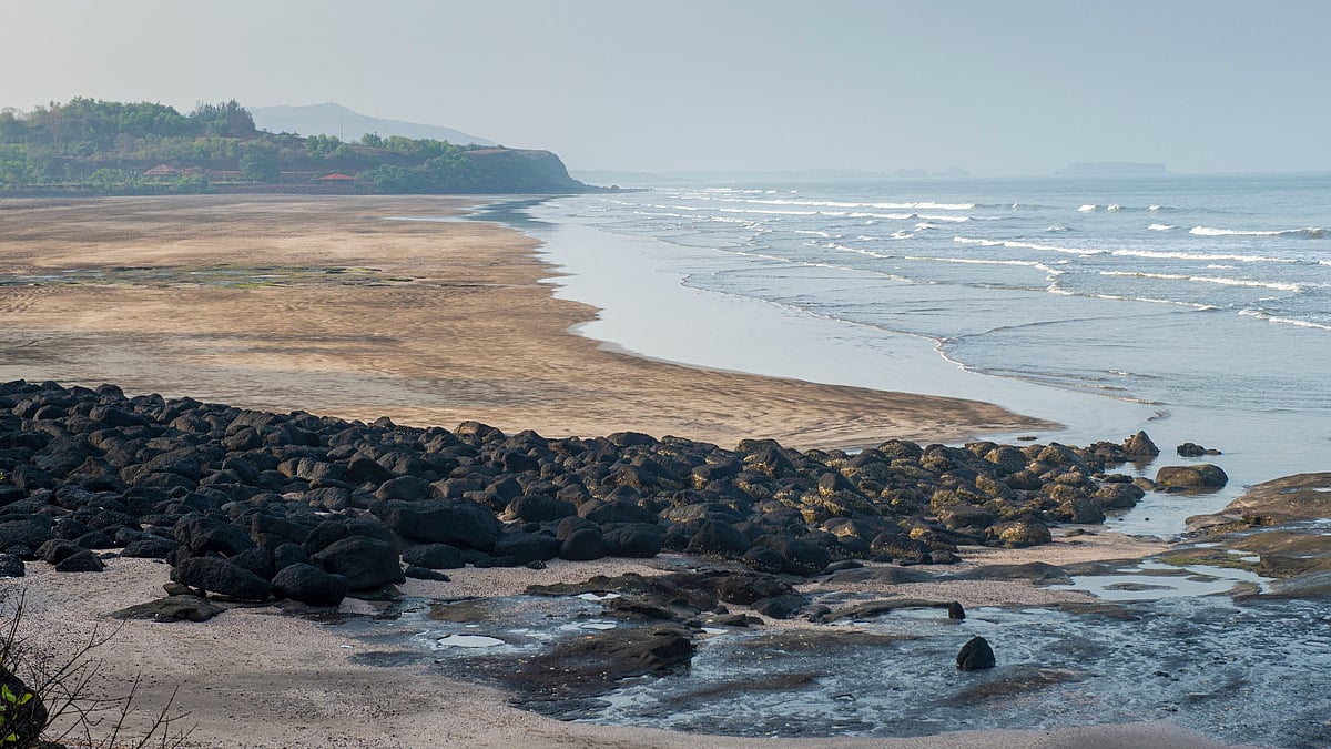175 more packets containing charas found at beaches in Raigad district ...