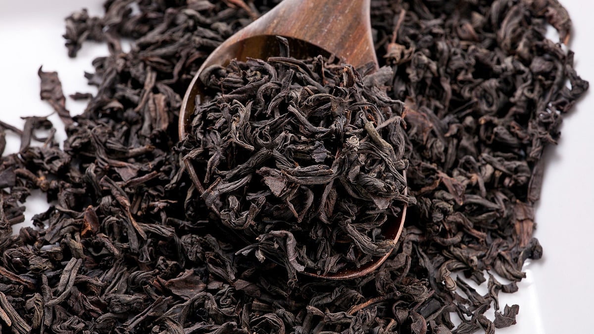 IIT-Guwahati develops technology for efficient utilisation of tea waste