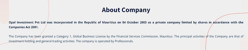 Owner of Adani Power's largest public investor a 'single-person company ...