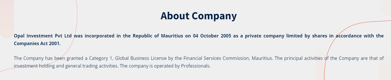 Owner of Adani Power's largest public investor a 'single-person company ...